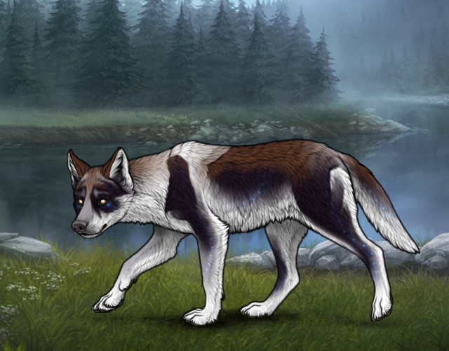 Chased Wolf Spotting - Revamped |:| Wolvden