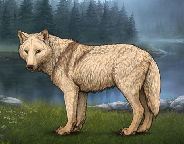 Cinnamon |:| Wolvden