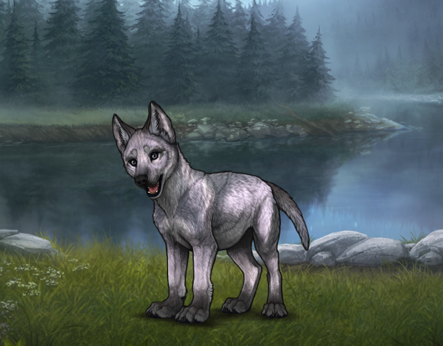 Lavender T2 7m 414 ⭐ |:| Wolvden