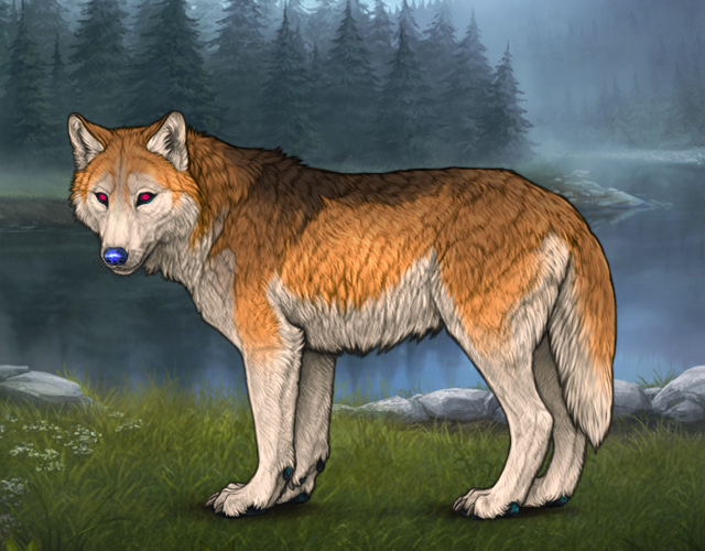 Chased Wolf Spotting - Revamped |:| Wolvden