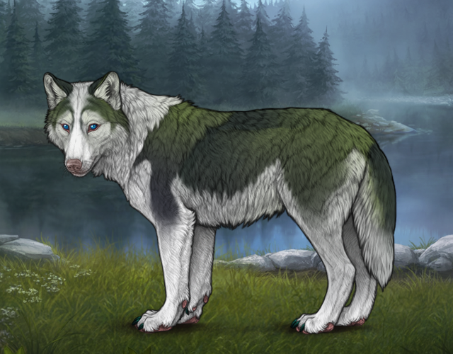 Chased Wolf Spotting - Revamped |:| Wolvden