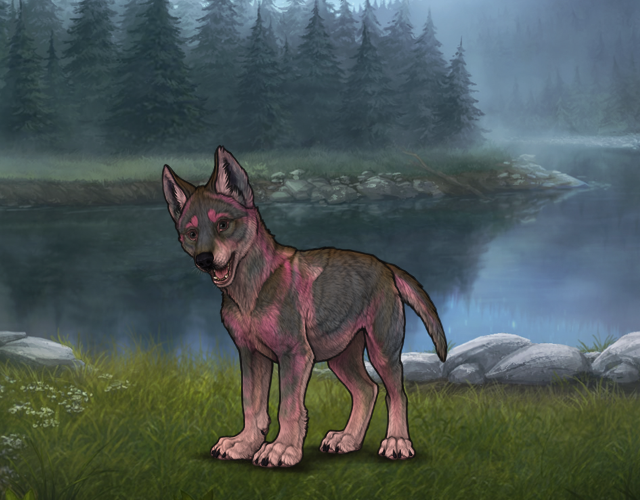 New Puppy Deaf |:| Wolvden