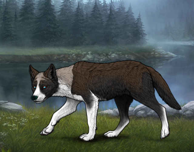 Denim T2 7m 402 ⭐ |:| Wolvden