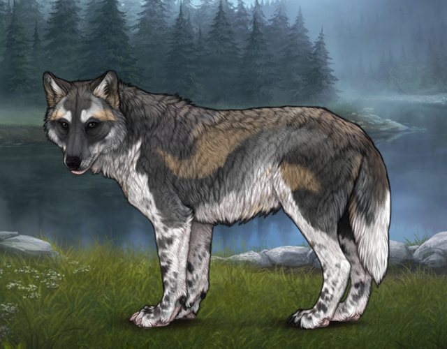 G4 zerdava sell 7GC |:| Wolvden