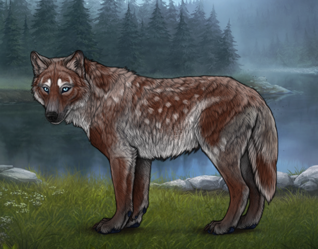 Male liver 3m t8 |:| Wolvden