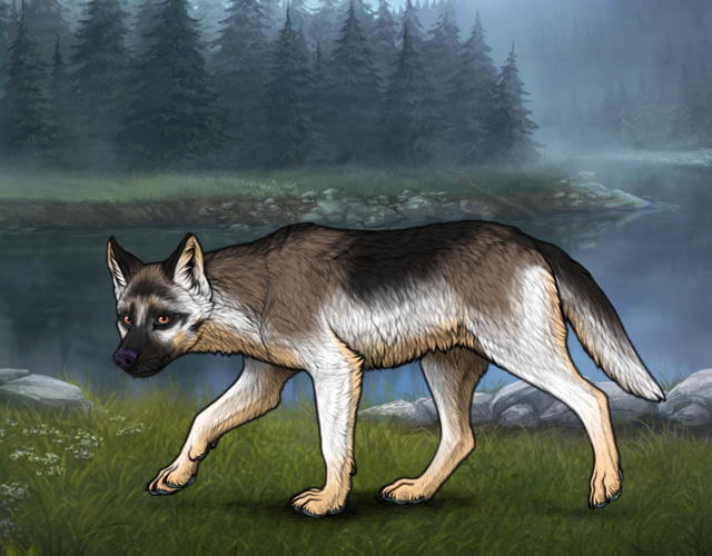 Skavan ᴺᴮᵂ |:| Wolvden