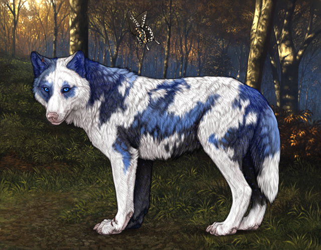 Torn Piebald Dinar Cougar |:| Wolvden