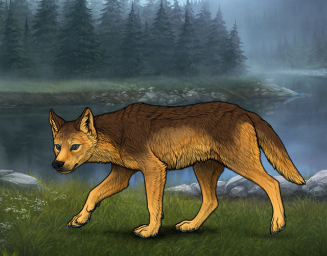 New Runt Puppy |:| Wolvden