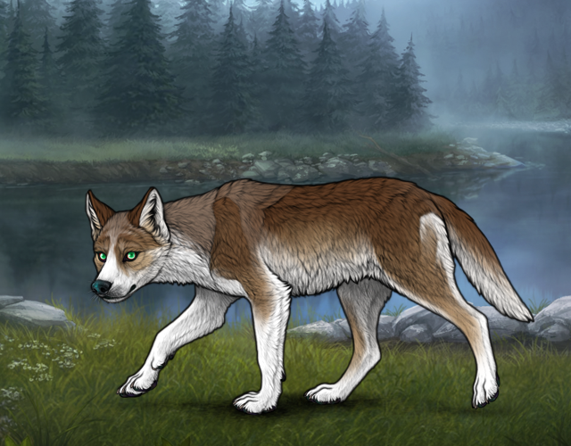 f cr. light I 5m꒰ⁱᵛ꒱ৎ |:| Wolvden