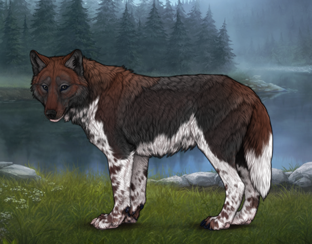 🥧 T3 Iridium 3m G4 |:| Wolvden