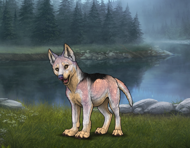 Gator'Skin |:| Wolvden