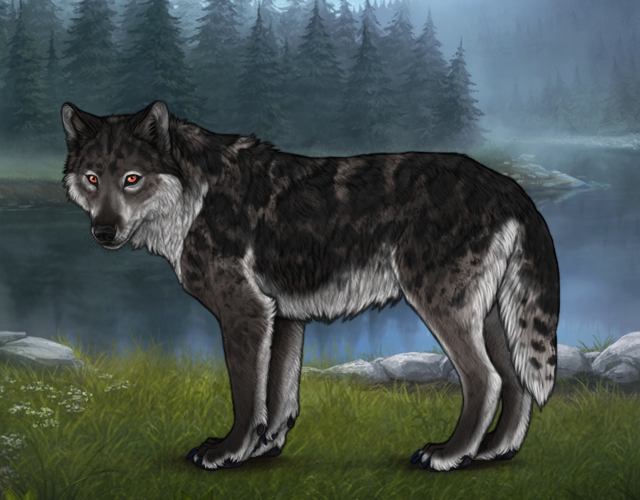 ♂️Caribou 6M BLS g3 |:| Wolvden