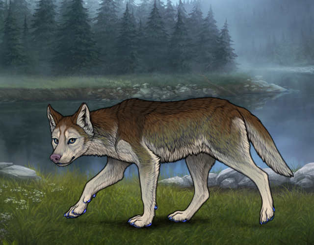 Chased Wolf Spotting - Revamped |:| Wolvden