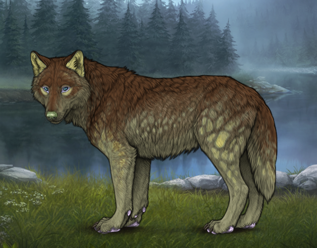 G2 DH kid tbn |:| Wolvden