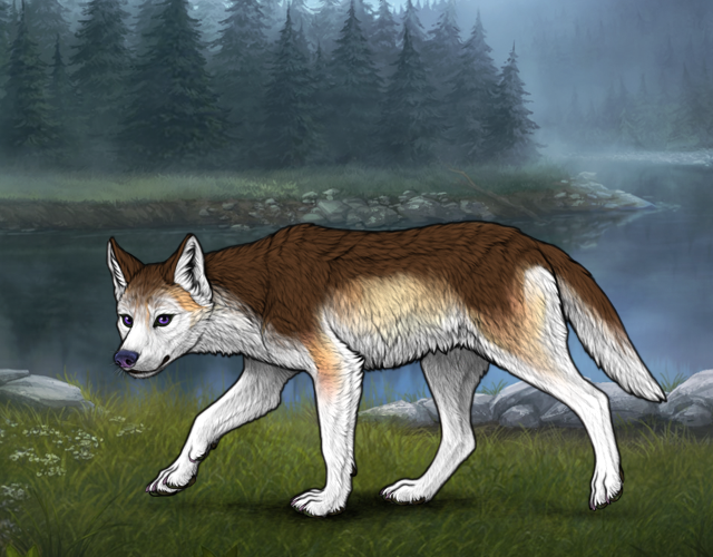 Chased Wolf Spotting - Revamped |:| Wolvden