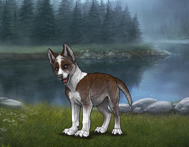 New Runt Puppy |:| Wolvden