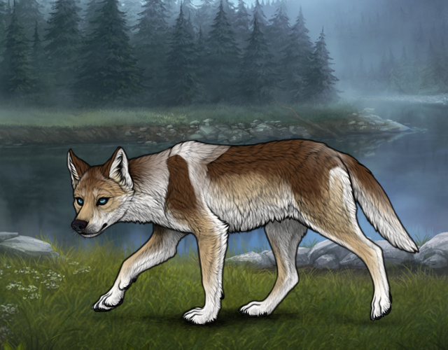 Chased Wolf Spotting - Revamped |:| Wolvden