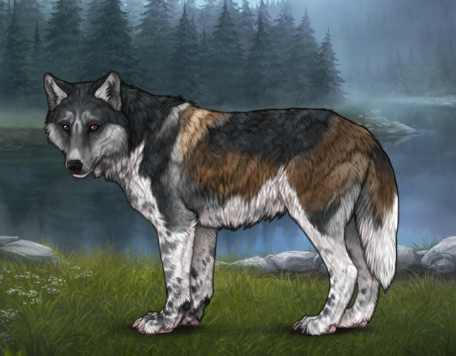 Marengo T1 4M 296 stats |:| Wolvden