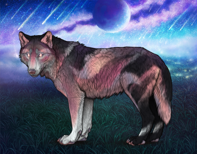 New Puppy |:| Wolvden