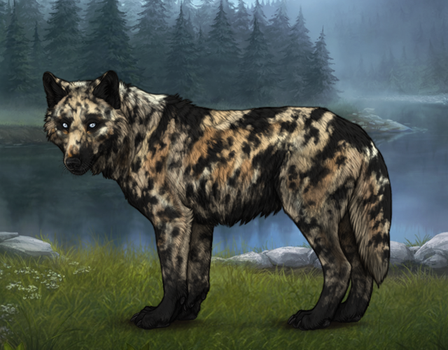 Chased Wolf Spotting - Revamped |:| Wolvden