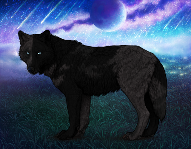 Patches! |:| Wolvden