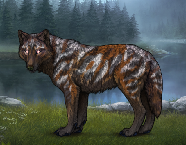 T2 6m moonbeam |:| Wolvden