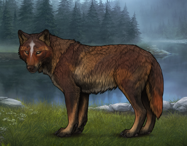 Chased Wolf Spotting - Revamped |:| Wolvden