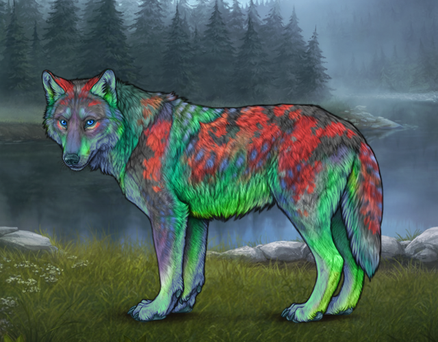 F Tl 7M G2 |:| Wolvden