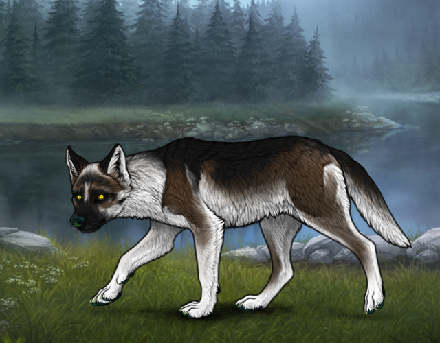 Chromium | Male | 7M |:| Wolvden