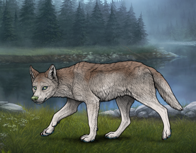 Chased Wolf Spotting - Revamped |:| Wolvden