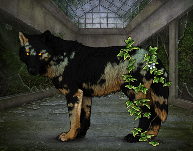 Nova | Chaser |:| Wolvden