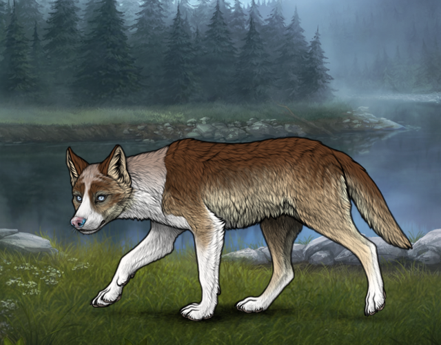 Phoebe G1 |:| Wolvden