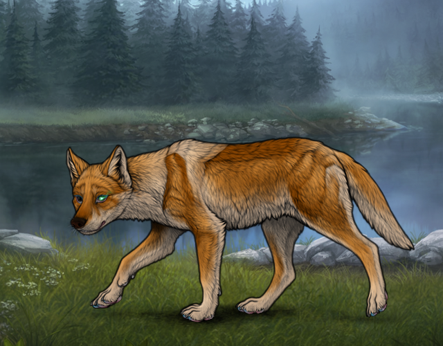 150sc g2 7m |:| Wolvden