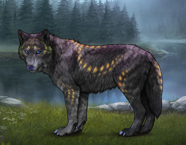 6/24-01 (7M) |:| Wolvden