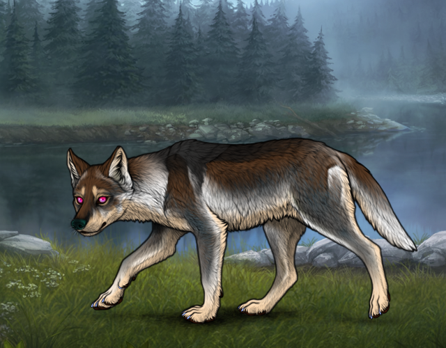 Natural merle |:| Wolvden