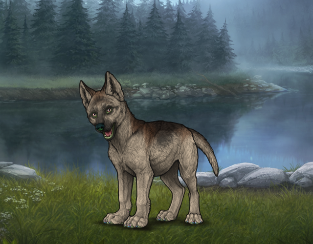 F Corundum Merle |:| Wolvden