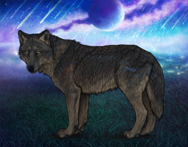 Chased Wolf Spotting - Revamped |:| Wolvden