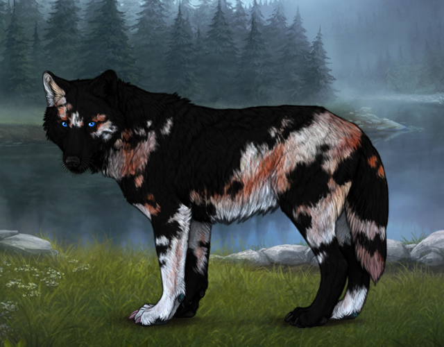 Mottled patches! |:| Wolvden