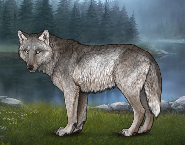 New Befriended Wolf T3 |:| Wolvden