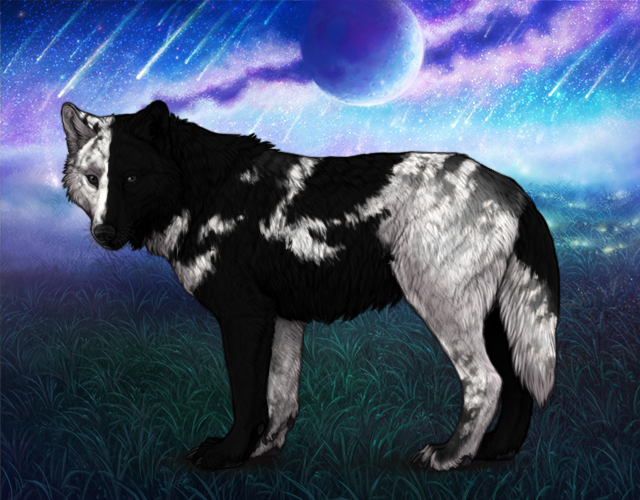 Starfall |:| Wolvden