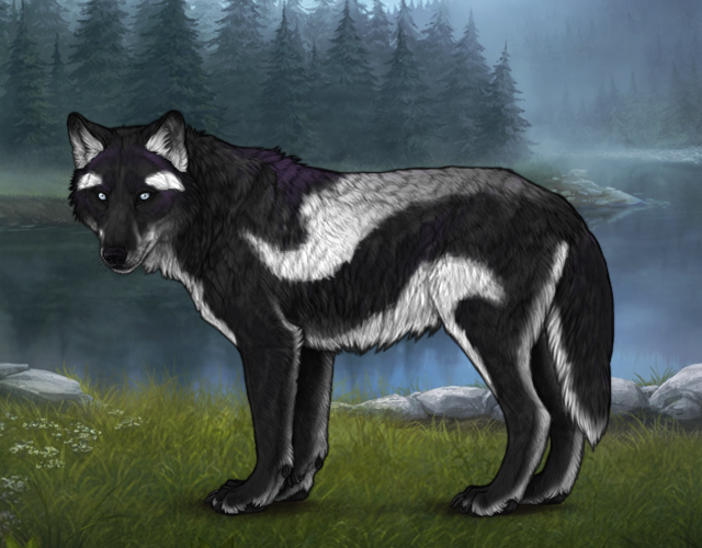 Purple Hi Lite |:| Wolvden