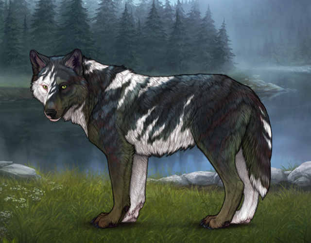 Piebald: Blaze I. |:| Wolvden
