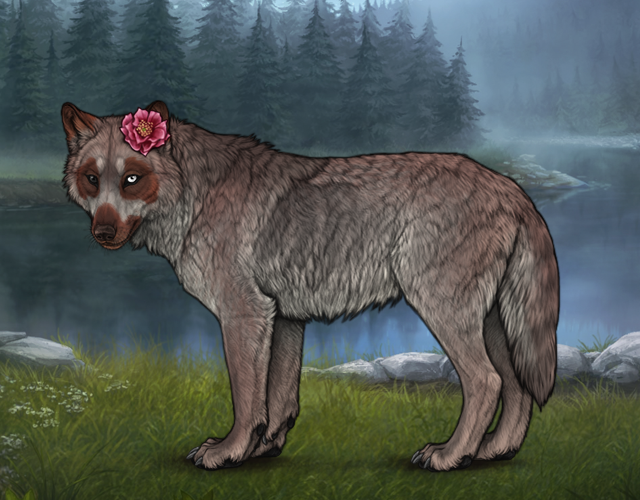 G3 Black/white eyes |:| Wolvden