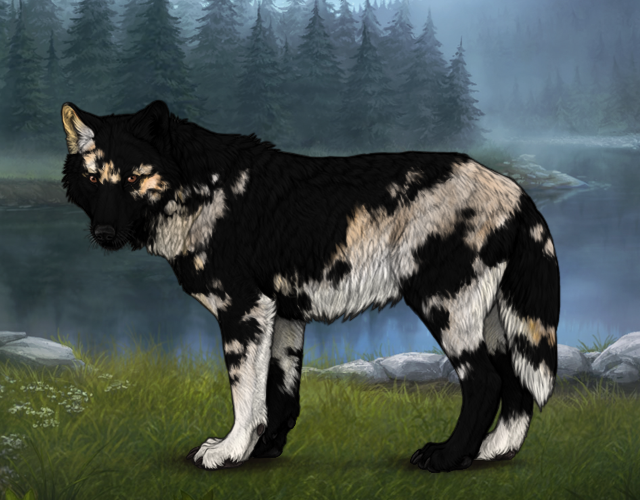 Patches: Mottled |:| Wolvden