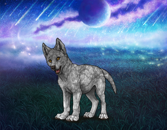 New Runt Puppy |:| Wolvden