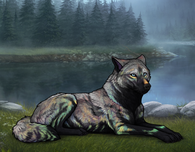 G3 TURQUOISE |:| Wolvden