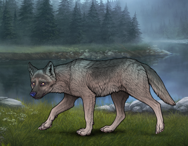 White T1 G3 F 476 |:| Wolvden