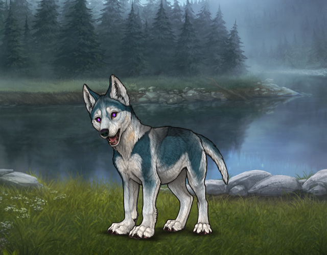 NBW tbn' |:| Wolvden