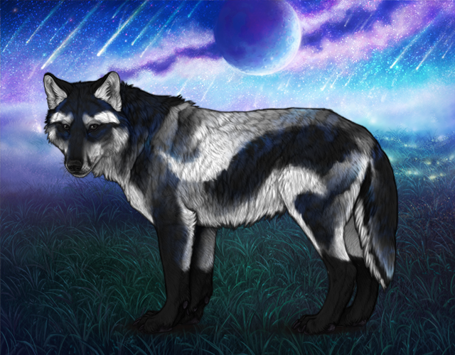 Twilight | G1 | Losna |:| Wolvden