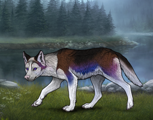 T2 Dinar, Blue Eyes, 6M |:| Wolvden